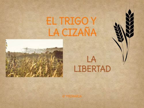 Book Creator | EL TRIGO Y LA CIZAÑA