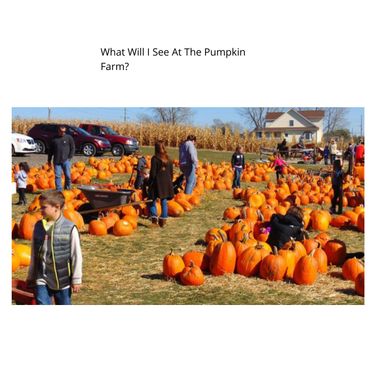 Book Creator | What Will I See in the Pumpkin Farm