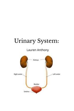 Book Creator | Urinary System