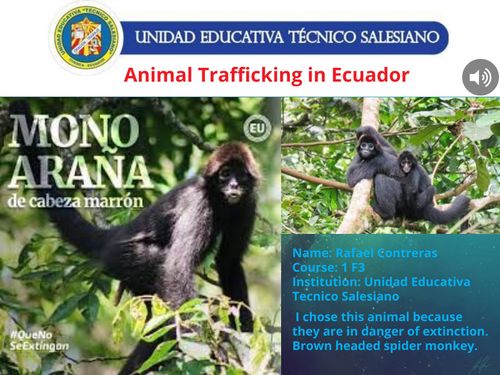 Book Creator | Rafael Contreras 1 F3