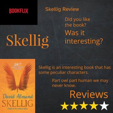 Book Creator | Skellig Review