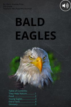 Book Creator | Bald Eagles