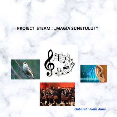 Book Creator | Proiect STEAM ,,Magia sunetului”