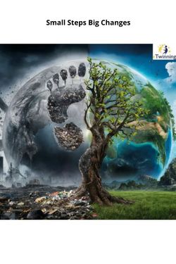 Book Creator | Small Steps Big Changes