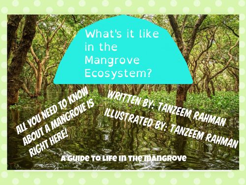 Book Creator | Mangroves