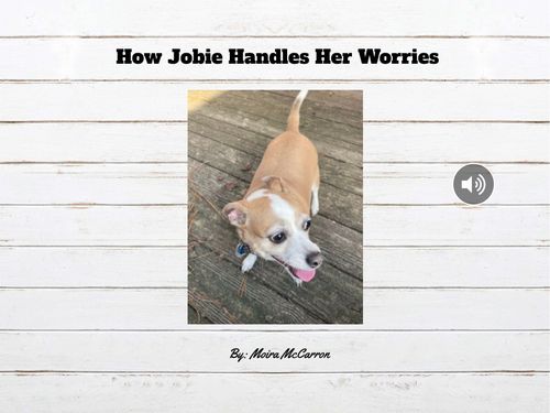 Book Creator | How Jobie Handles Her Worries