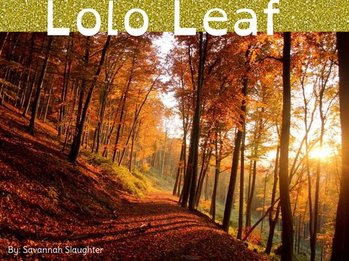 Book Creator | Lolo Leaf
