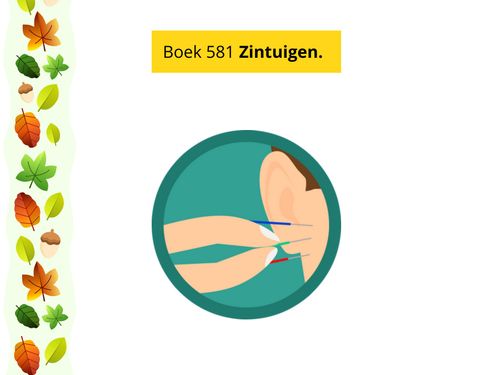Book Creator | Biek 581 ZINTUIGEN