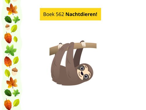 Book Creator | Boek 562 nachtdieren!
