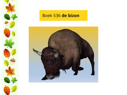 Book Creator | Boek 536 de bizon
