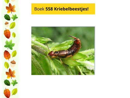 Book Creator | Boek 558 KRIEBELBEESTJES