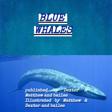 Book Creator | BLUE WHALES