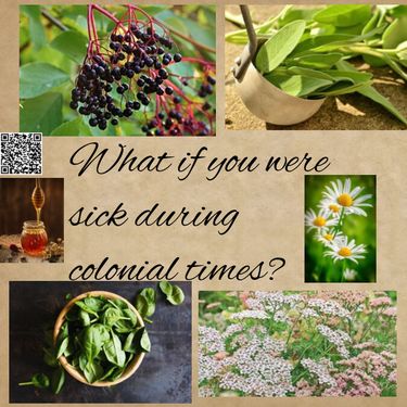 Book Creator | Colonial Medicine