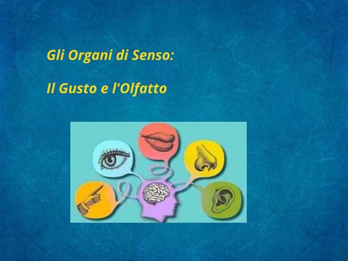 Book Creator | I 5 Sensi: l'olfatto e il gusto