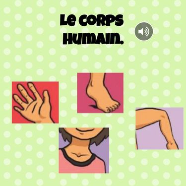 Book Creator | Le corps humain