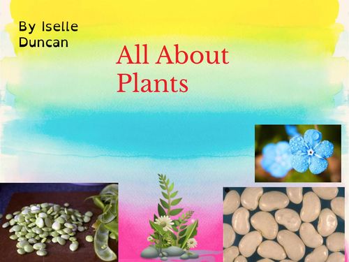 Book Creator | All about Plants