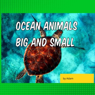 Book Creator | Ocean Animals Big and Small