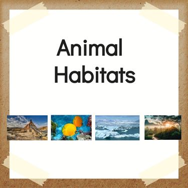 Book Creator | Animal Habitats