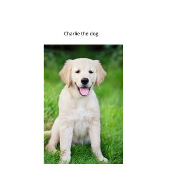 Book Creator | Charlie the dog
