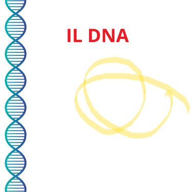Book Creator | il DNA