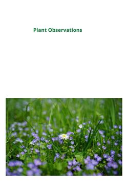 Book Creator | Plant Observations