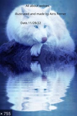 Book Creator | all about wolves