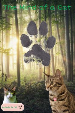 Book Creator | The Mind of a Cat