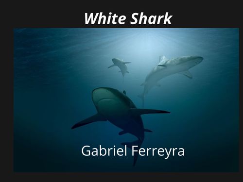 Book Creator | Shark