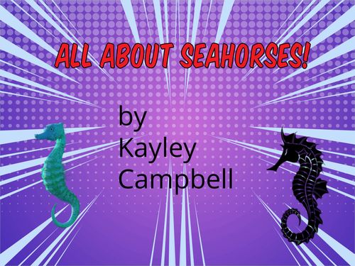 Book Creator | All About Seahorses