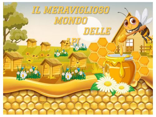 Book Creator | IL MERAVIGLIOSO MONDO DELLE API