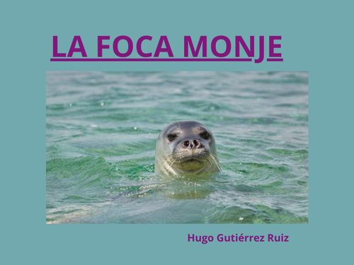 Book Creator | la foca monje