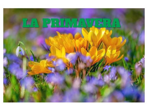 Book Creator | La primavera