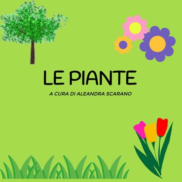 Book Creator | LE PIANTE