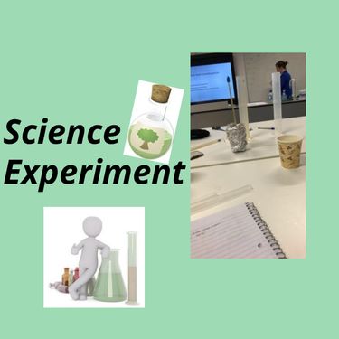 Book Creator | Science Experiment