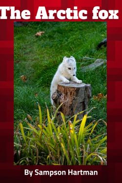 Book Creator | Arctic Foxes
