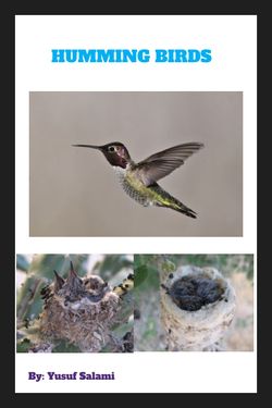 Book Creator | Humming Birds