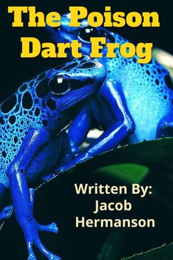 Book Creator | The Poison Dart Frog