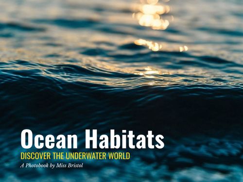 Book Creator | Ocean Habitats