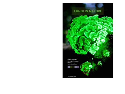 Book Creator | Jamur 2