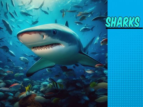 Book Creator | Sharks