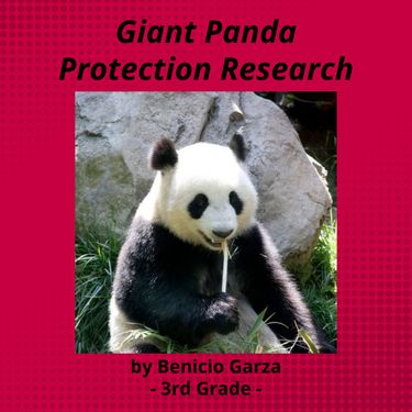 Book Creator | Giant Panda Protection Research