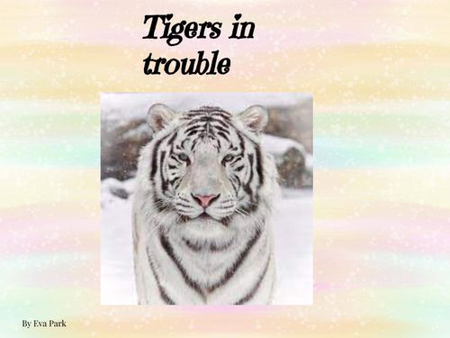 Book Creator | Tigers in Trouble