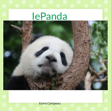 Book Creator | le panda