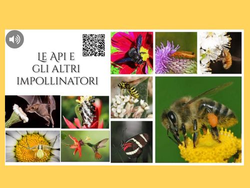 Book Creator | Le api e gli altri impollinatori
