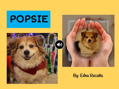 Book Creator | POPSIE