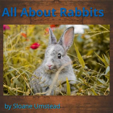 Book Creator | All About Rabbits