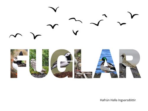 Book Creator | Fuglarnir