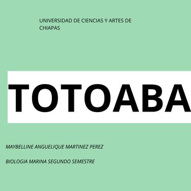 Book Creator | TOTOABA