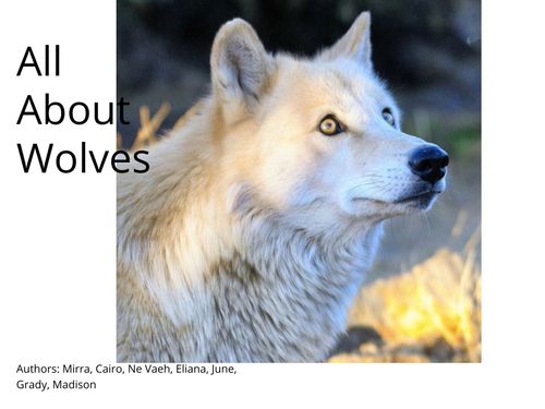 Book Creator | All About Wolves
