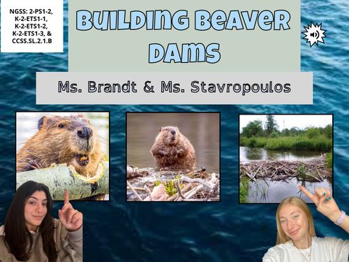 Book Creator | Building Beaver Dams